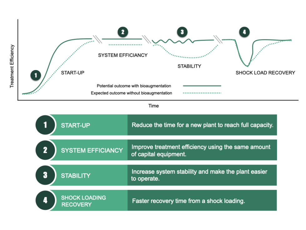 Bioaugmentation | Biogreen