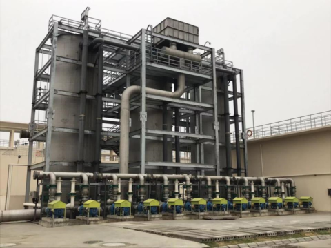 Chenming pulp and paper company | Biogreen